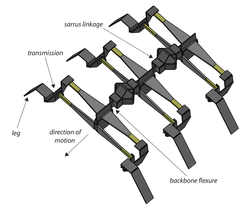 Bio-Inspired Myriapod Robot | Team 01